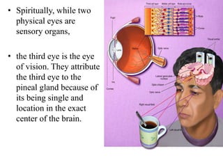 Third Eye ppt.pptx