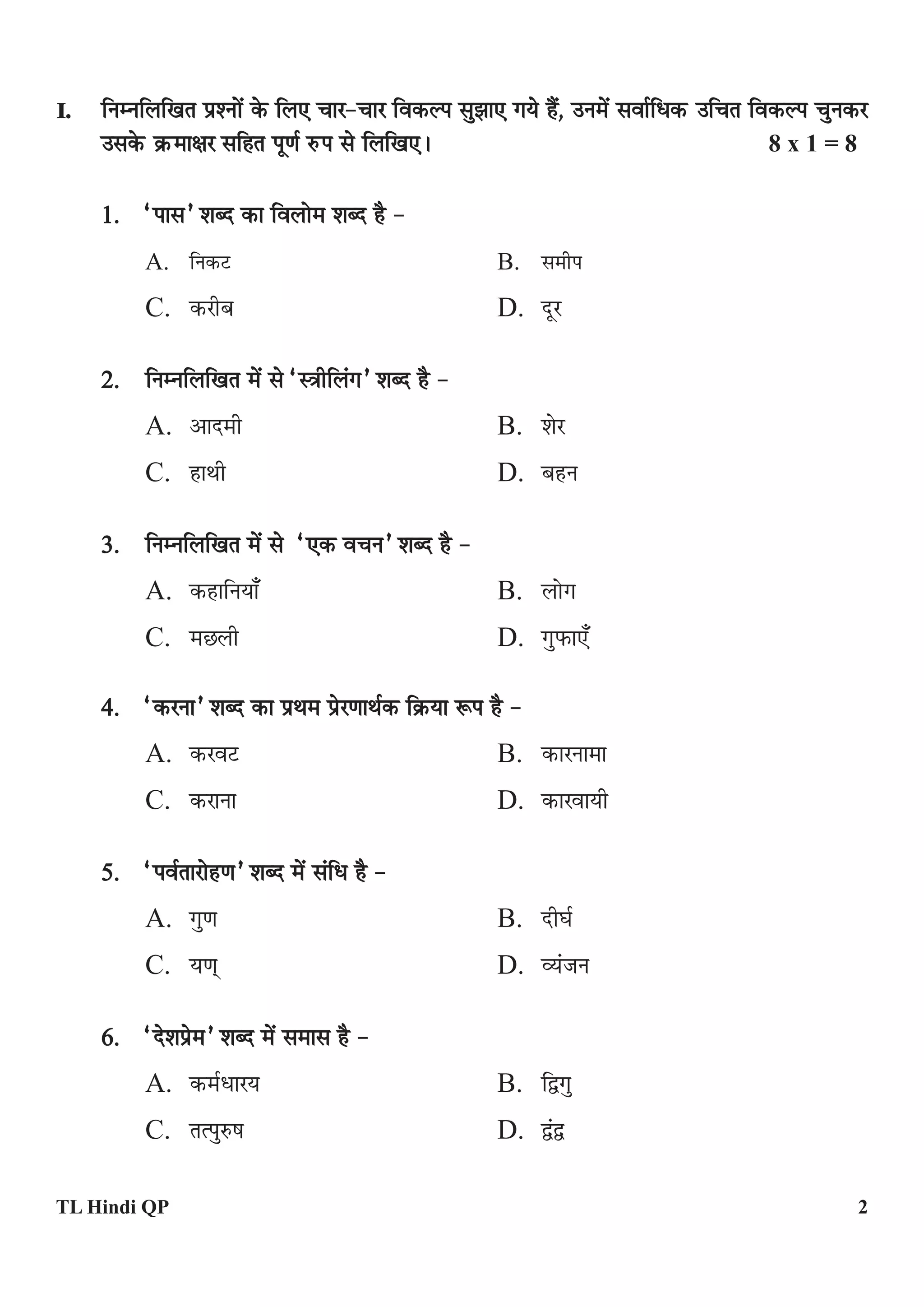 Third Language Hindi.pdf