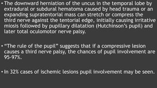 Third nerve- functional anatomy and clinical features | PPTX