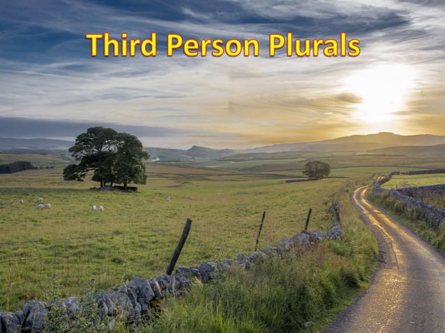 Third Person Plural | PPTX