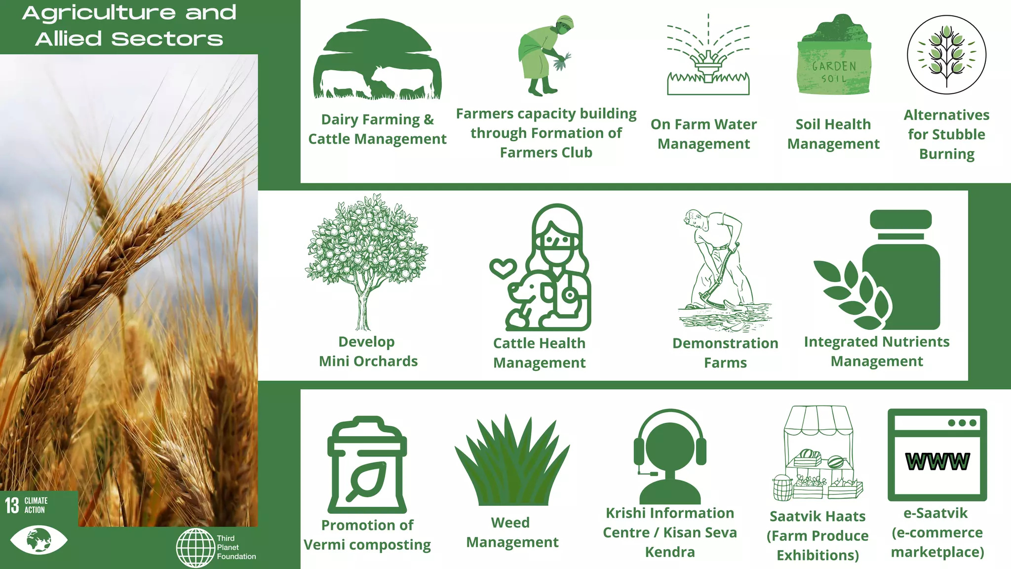 Third Plant Foundation Credential.pdf