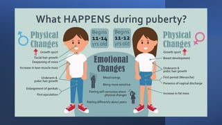 THIRD QUARTER LESSON 1 IN TLE about Puberty | PPTX