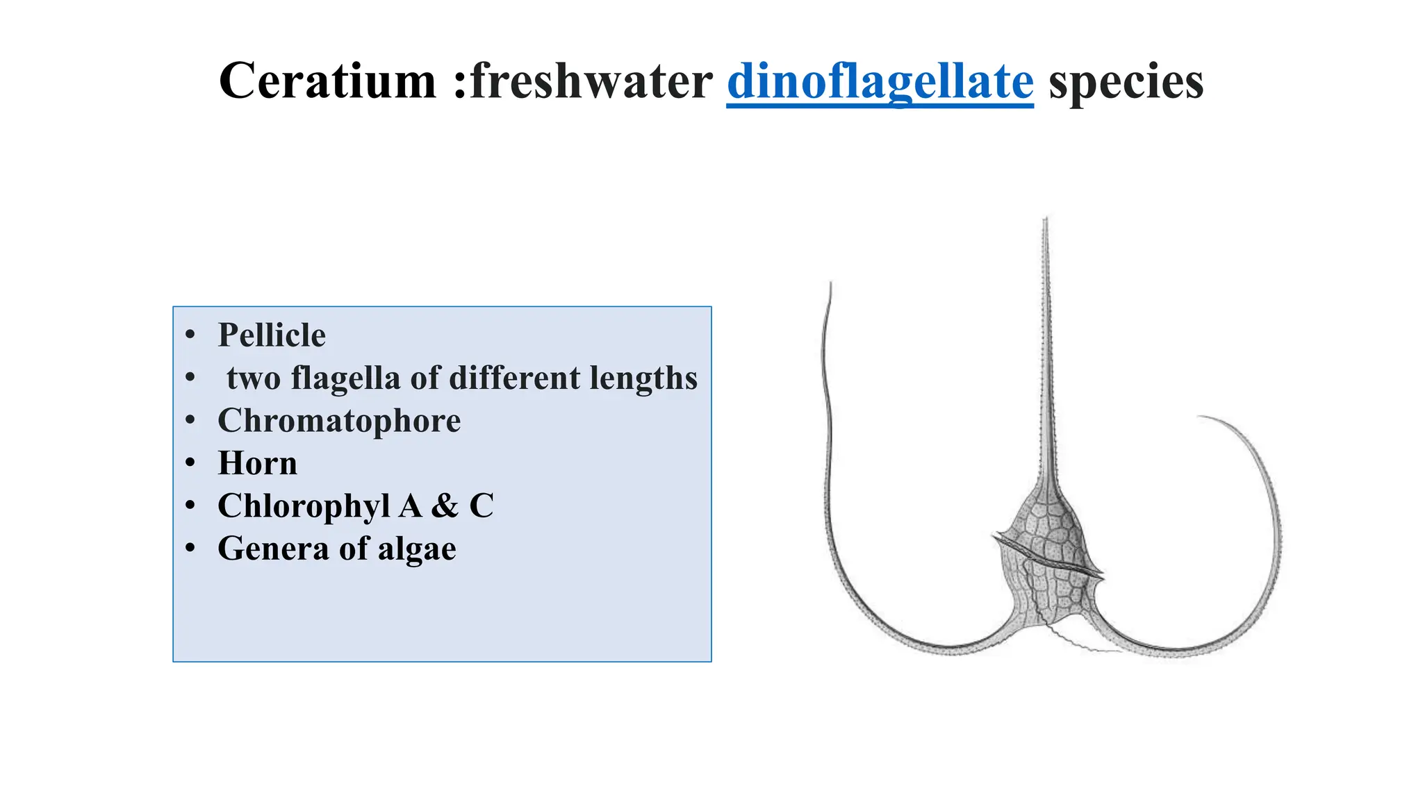 third section zoology laboratory guide.pptx