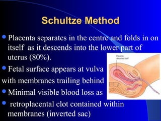 thirdstageoflaborforundergraduate-130306091350-phpapp01 (1).pdf