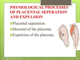 Third stage of labour | PPTX