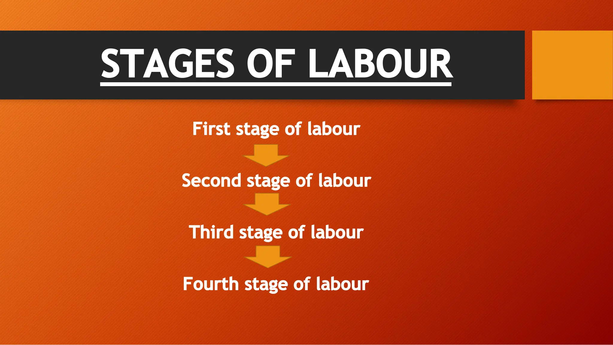 Third stage of labour.pdf