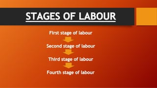 Third stage of labour.pdf | Pregnancy | Reproductive Health