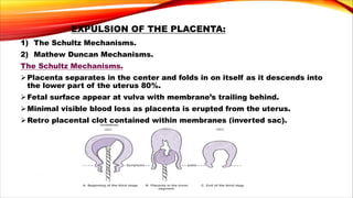 THIRD STAGE OF LABOUR AND ITS MANAGEMENT.pdf