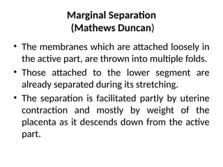 Third Stage of Labour.pptx methods of placental expulsion | PPTX ...
