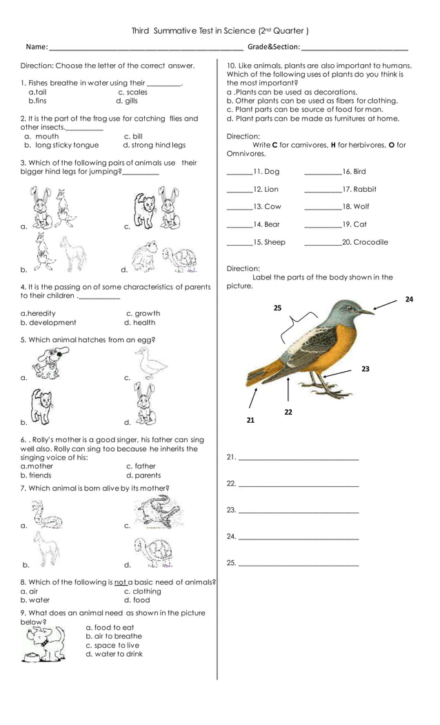 Third summative test (2nd quarter) | PDF
