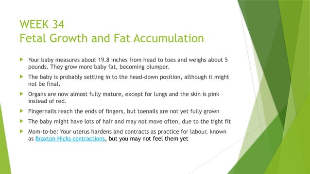 Third Trimester Pptx Embryology Section Ppt