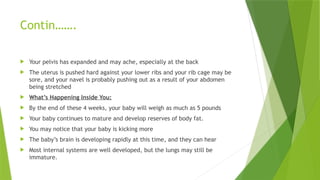 THIRD TRIMESTER.pptx, Embryology section | PPTX