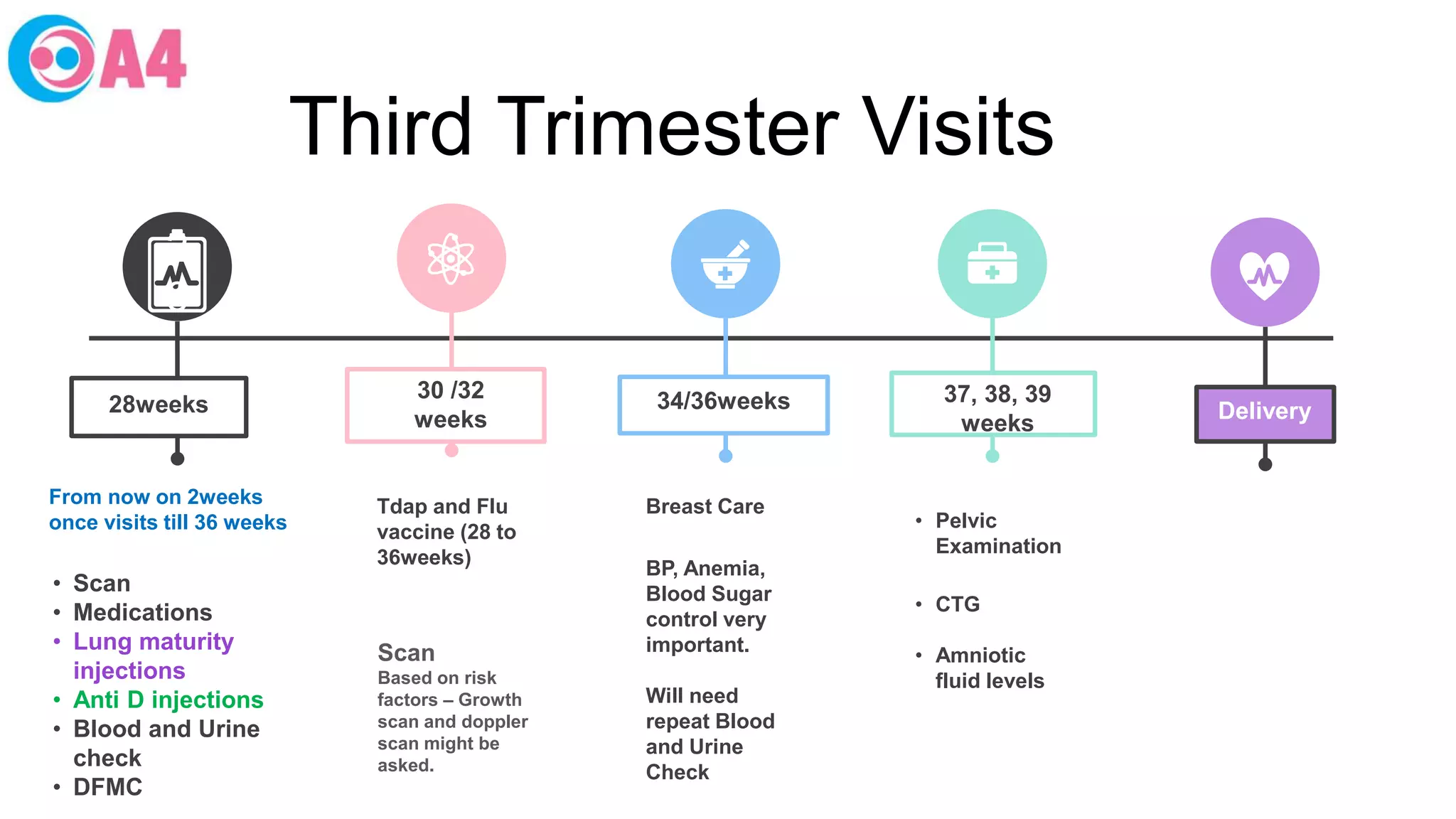 Third trimester do's and don'ts - A4 Fertility Centre | PPTX