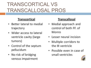 Third ventricle surgical anatomy and approaches | PPTX