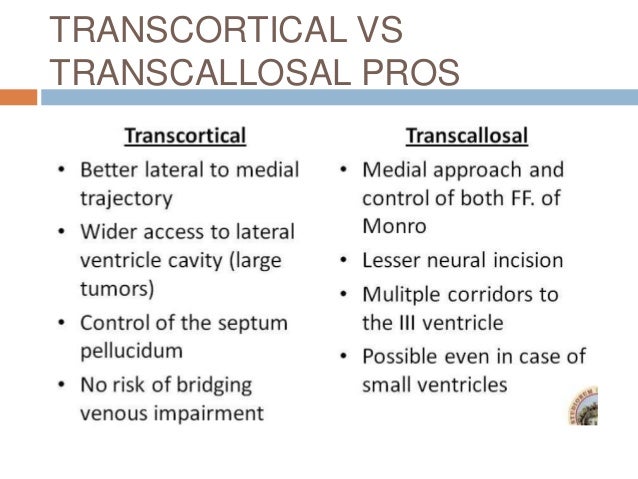 Third ventricle surgical anatomy and approaches