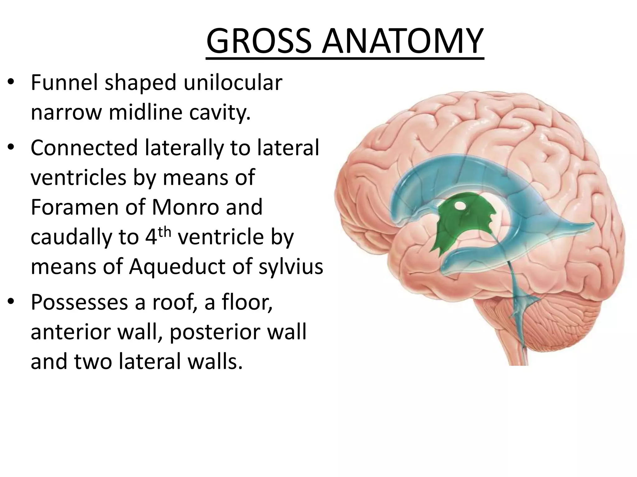 Third ventricle | PPTX