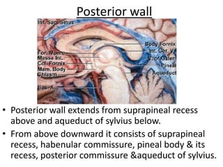 Third ventricle | PPTX