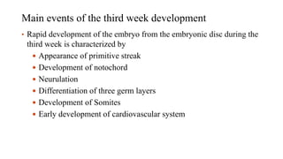 Third Week Development.pdf