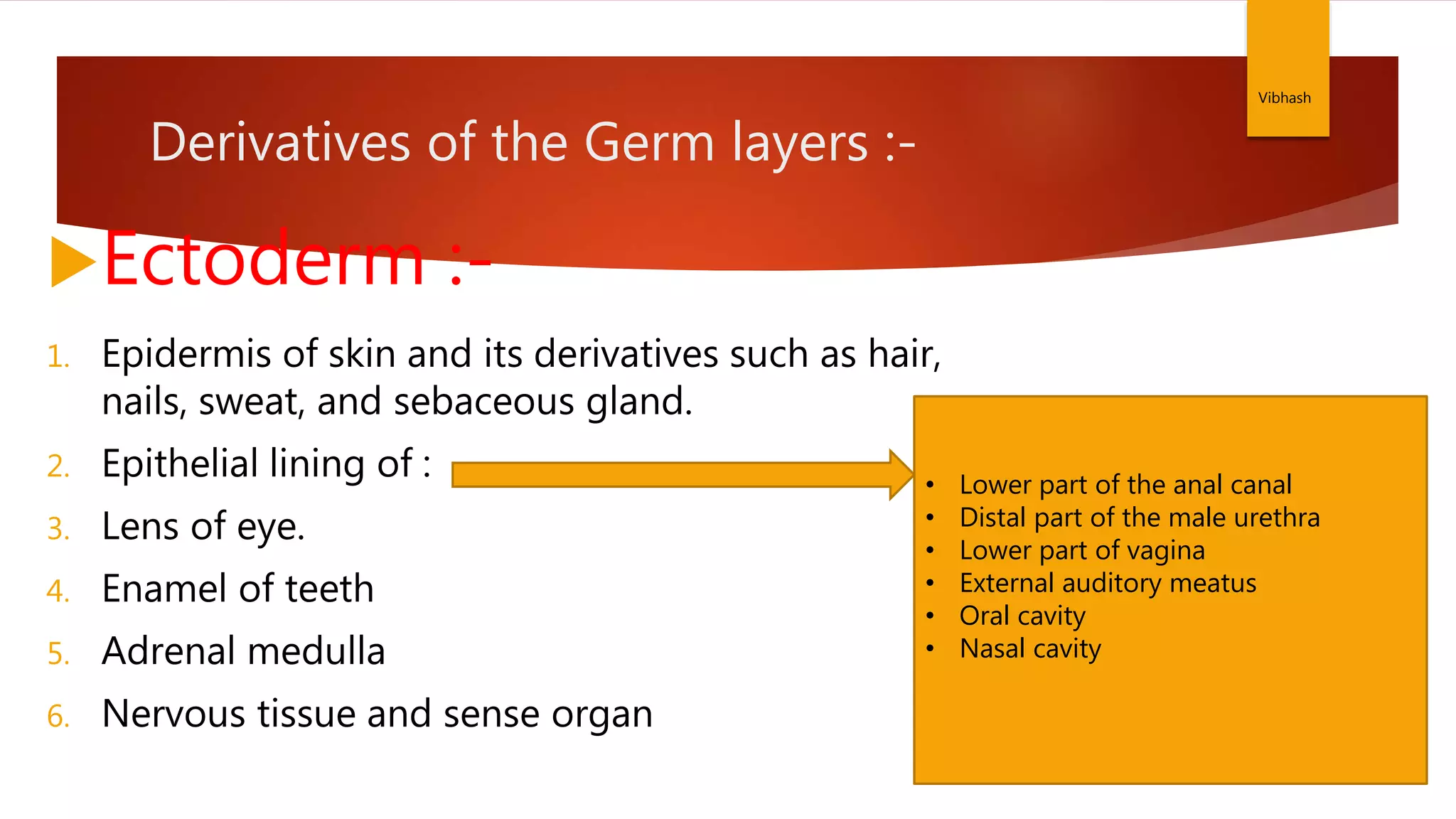 Third week of development | PPTX