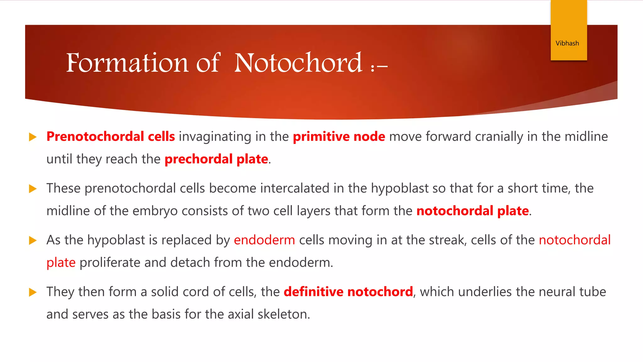 Third week of development | PPTX