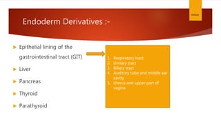 Third week of development | PPTX