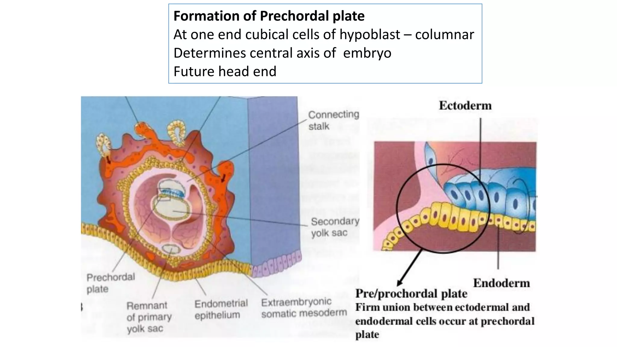 Third week of development | PDF