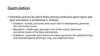 Third week of development | PDF