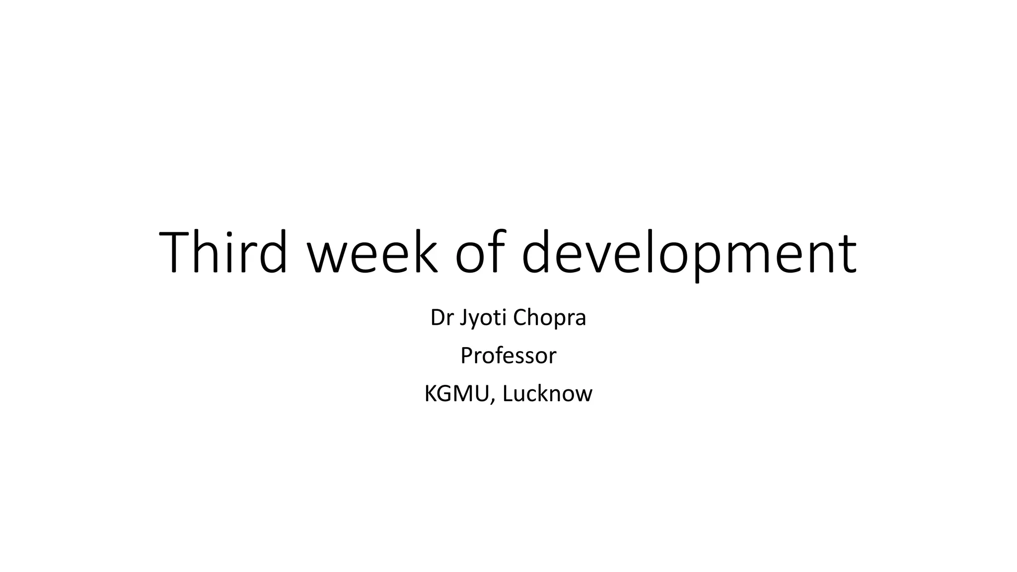 Third week of development | PDF