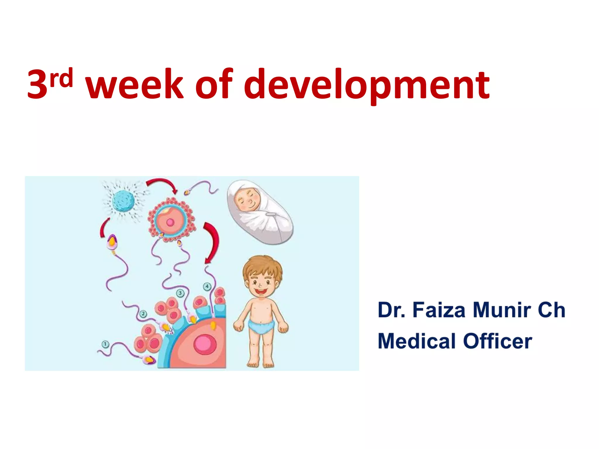 Third week of development.pdf