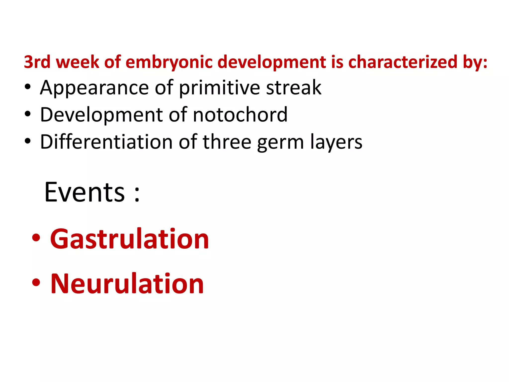 Third week of development.pdf