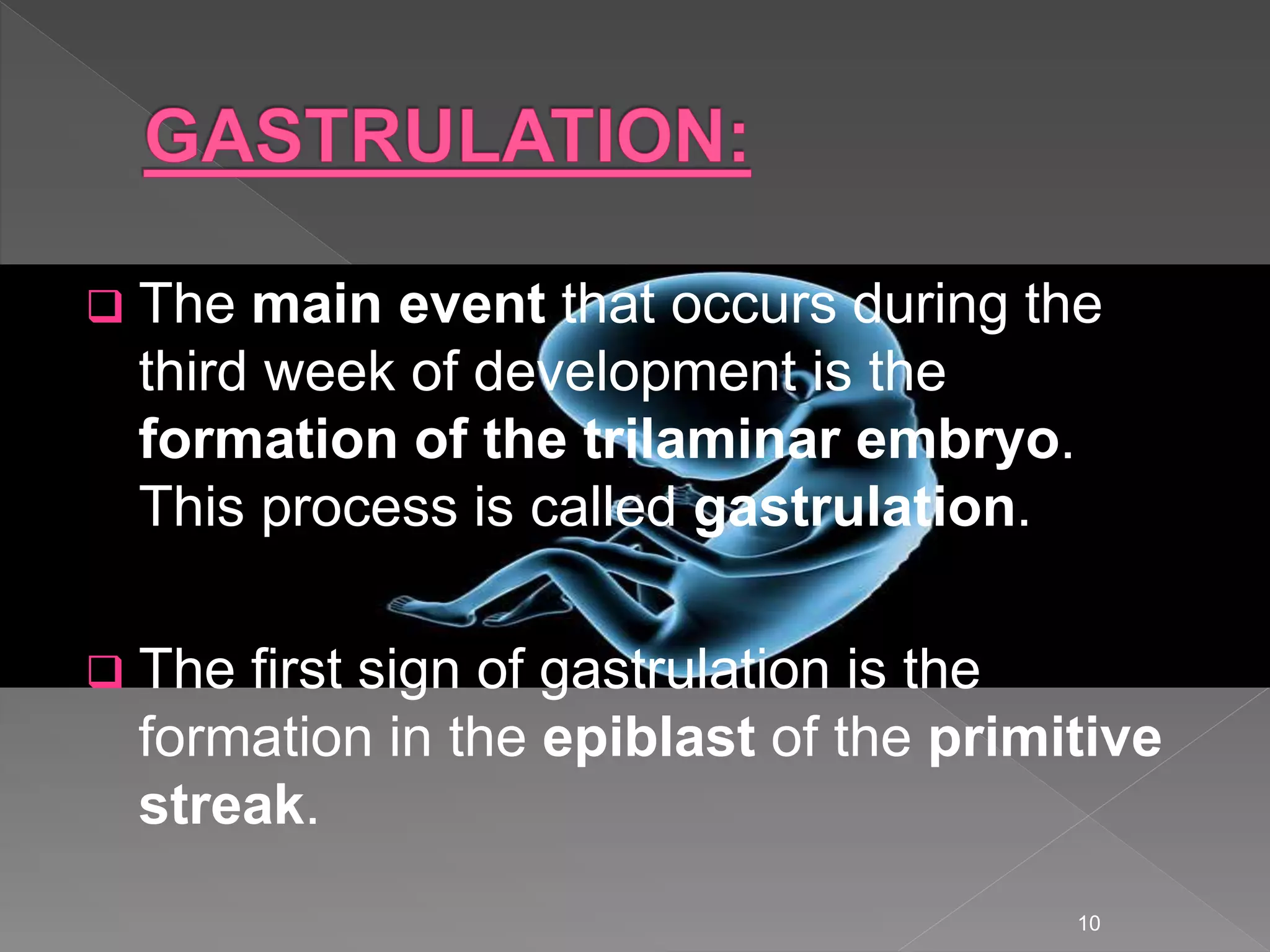 Third week of human development | PPTX