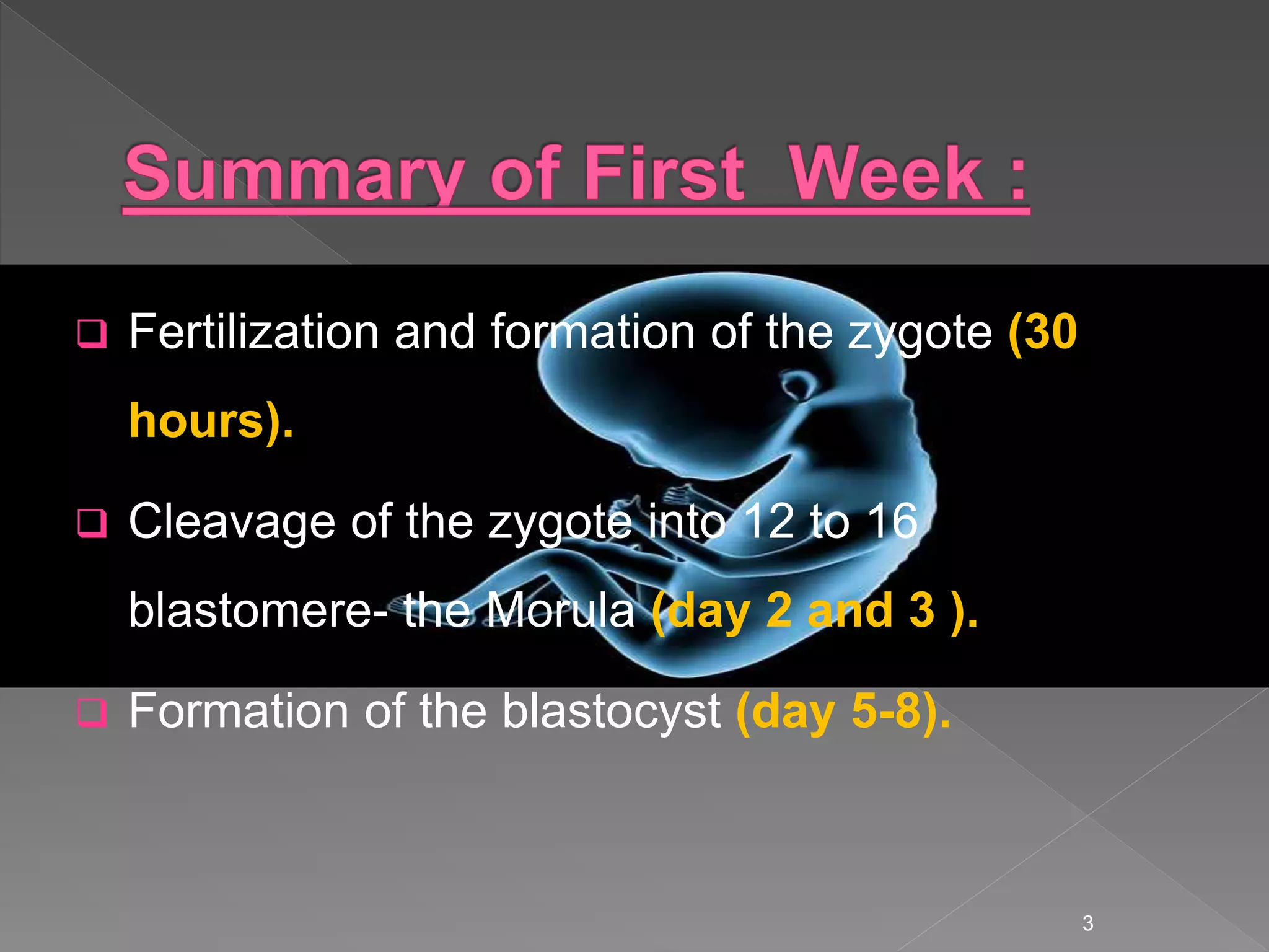 Third week of human development | PPTX