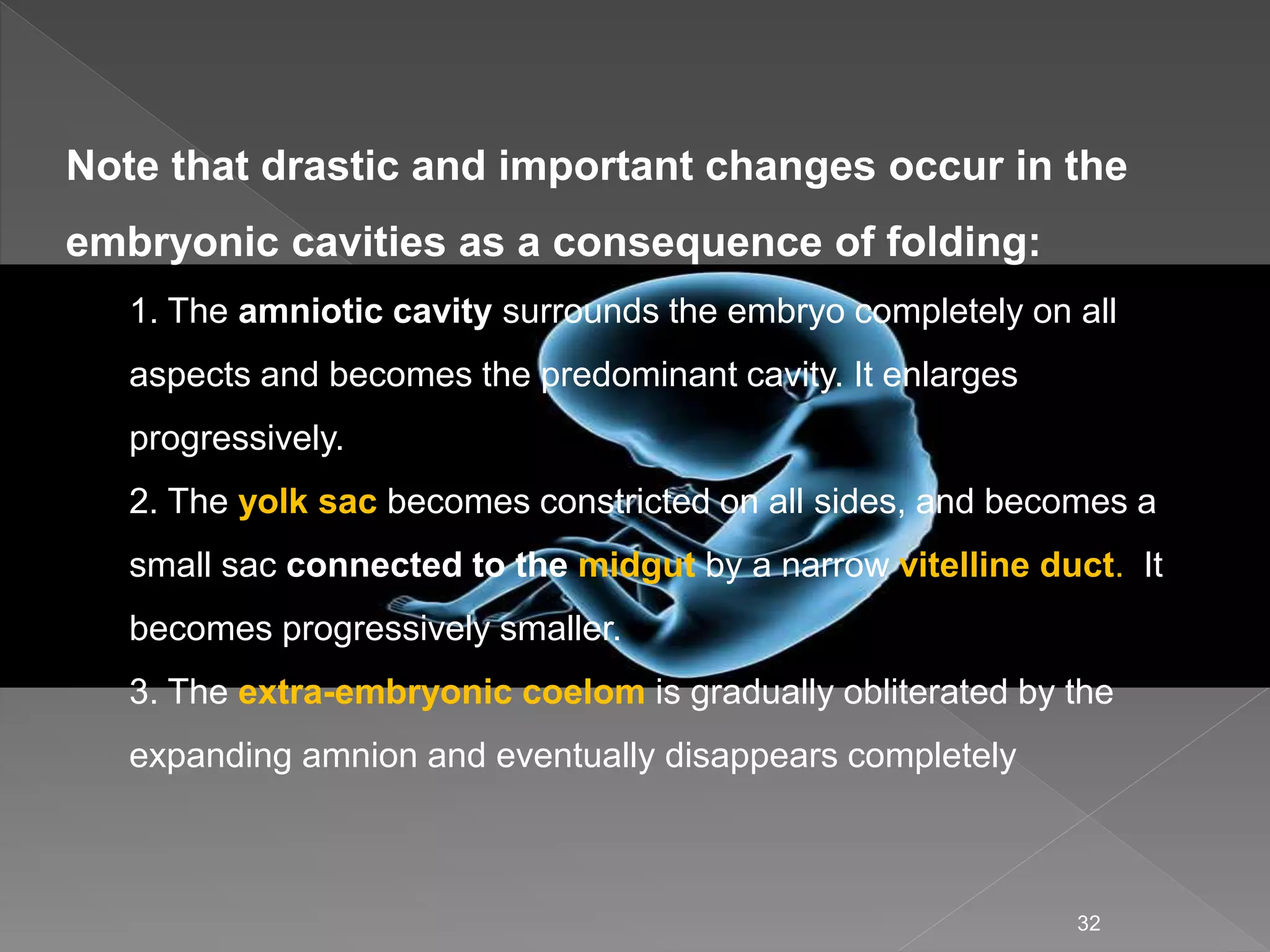 Third week of human development | PPTX