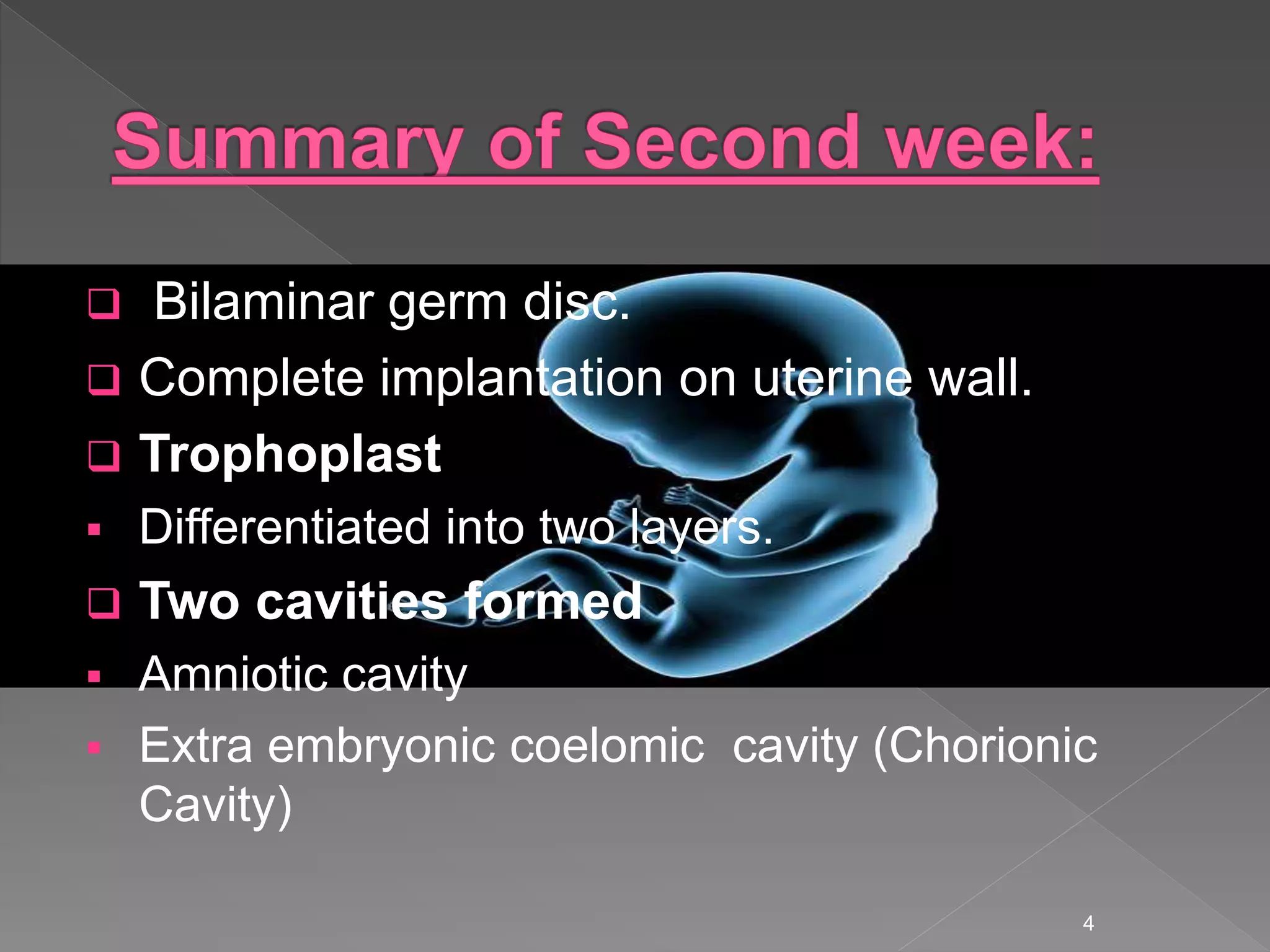 Third week of human development | PPTX