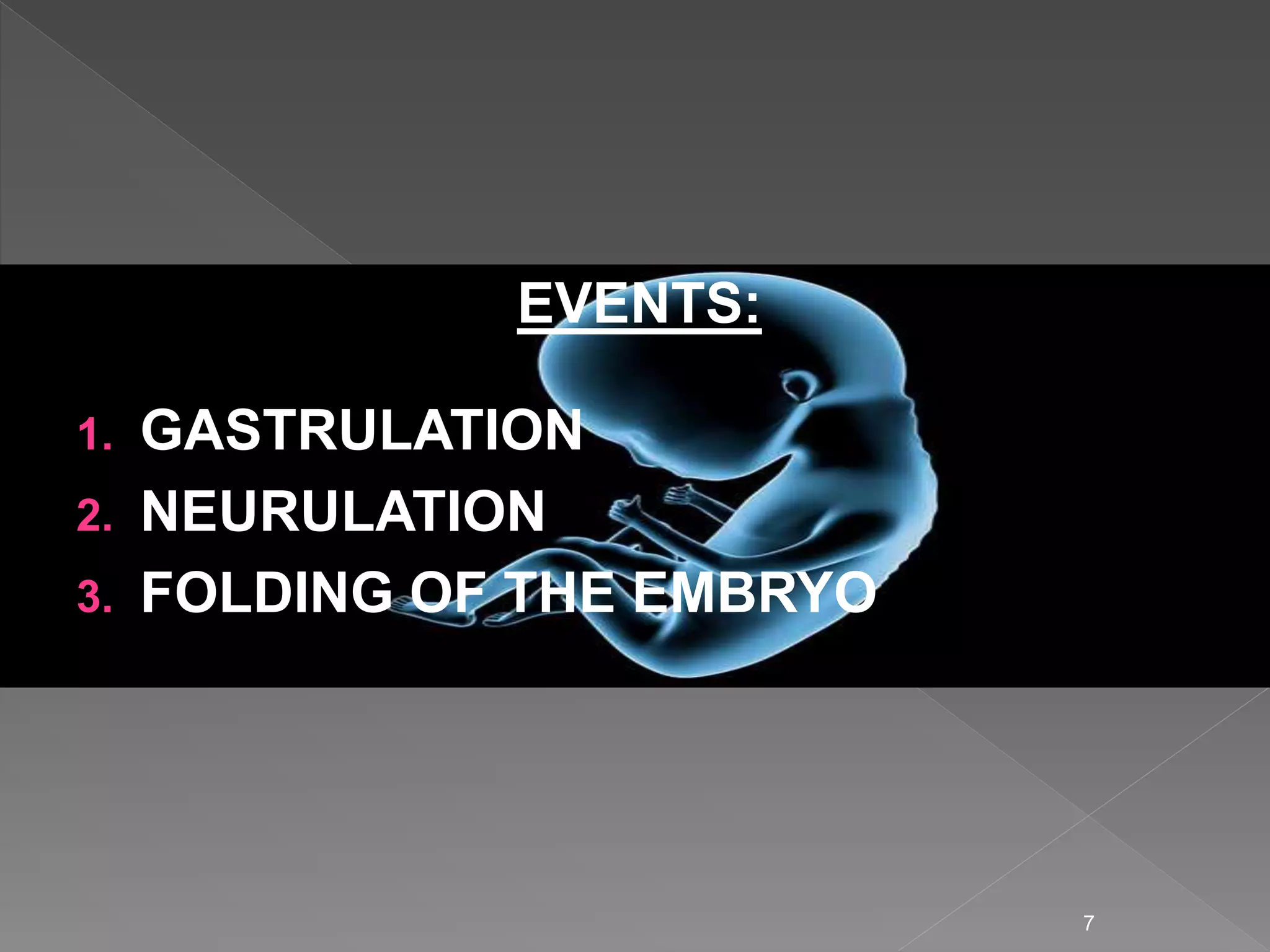 Third week of human development | PPTX