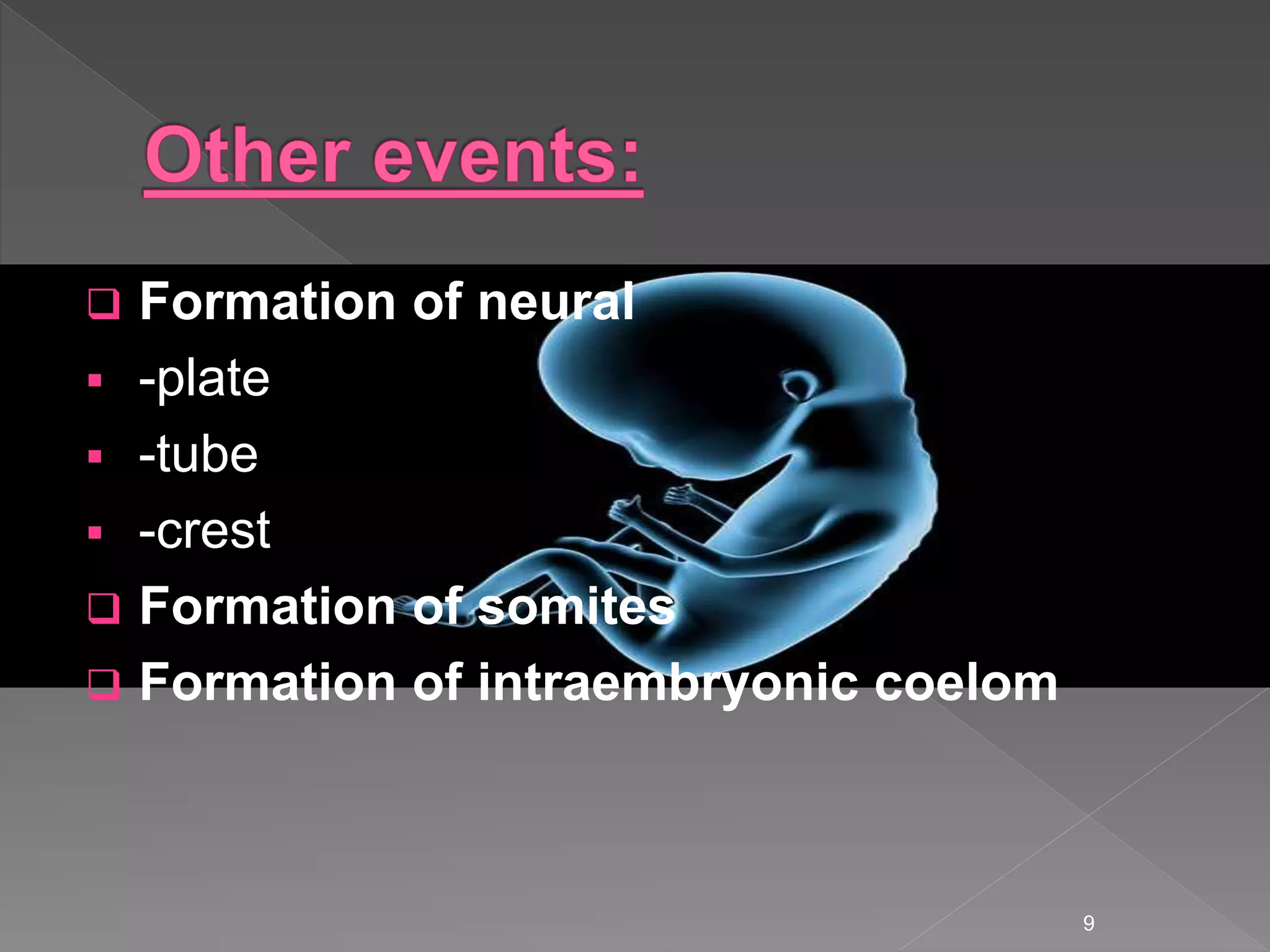 Third week of human development | PPTX