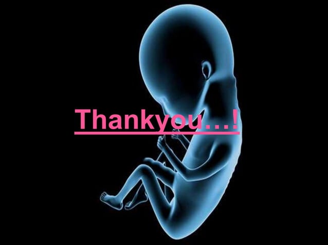 Third week of human development | PPTX