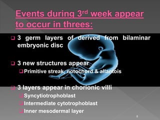 Third week of human development | PPTX