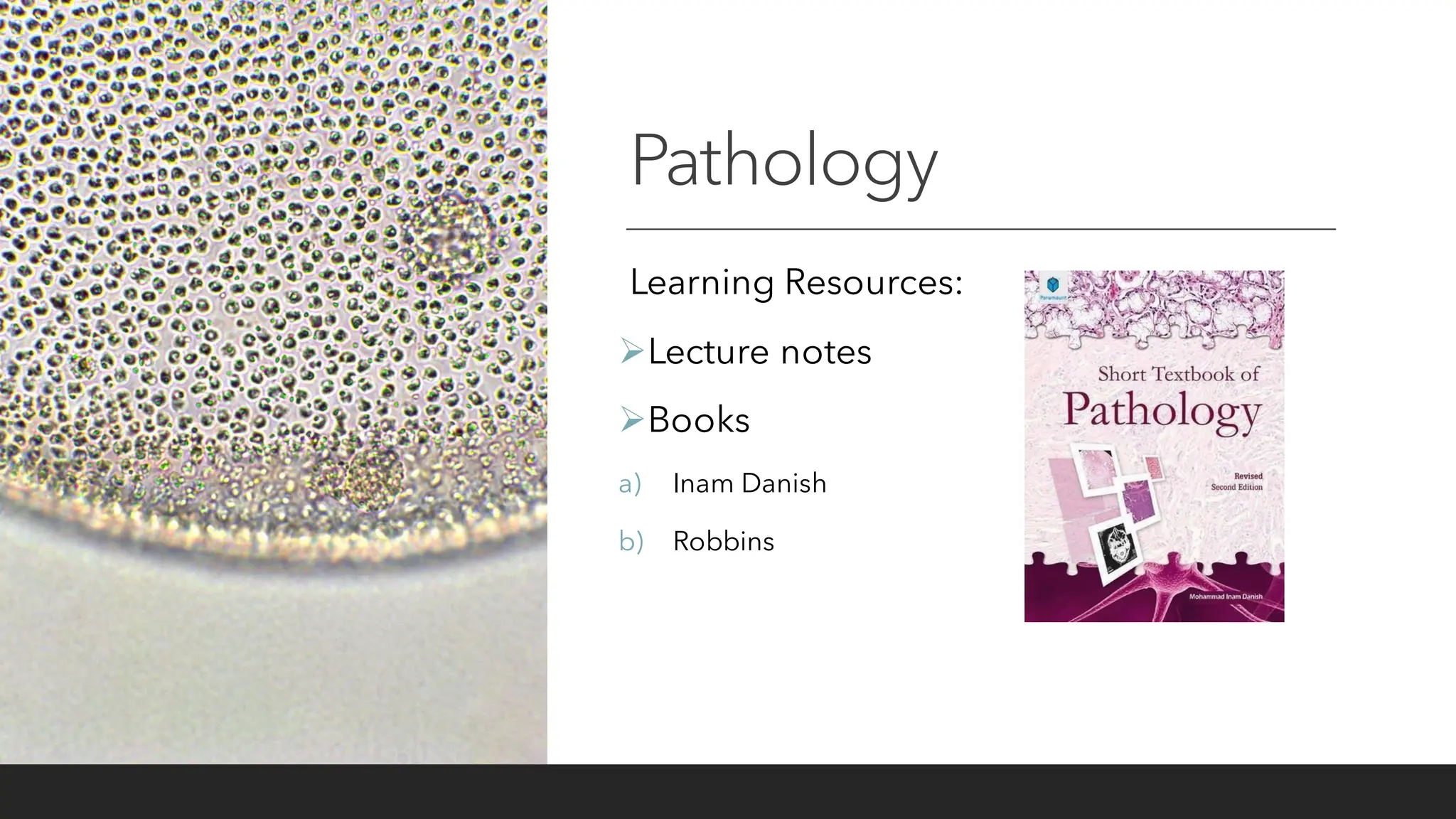 PharmD Third Professional Guideline for pharmacy students | PDF