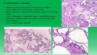 PMU third/fourth year Clinical pathoanatomy Part 2 | PPTX