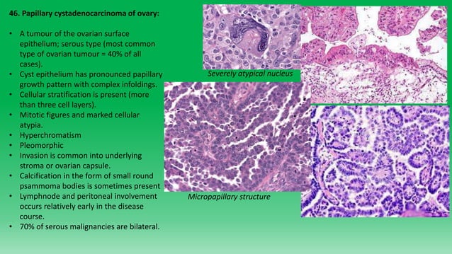 PMU third/fourth year Clinical pathoanatomy Part 2 | PPTX