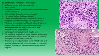 PMU third/fourth year Clinical pathoanatomy Part 2 | PPTX