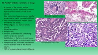 PMU third/fourth year Clinical pathoanatomy Part 2 | PPT
