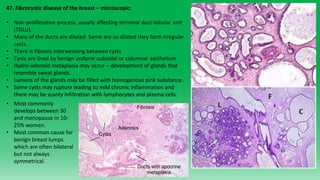 PMU third/fourth year Clinical pathoanatomy Part 2 | PPT