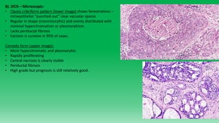 PMU third/fourth year Clinical pathoanatomy Part 2 | PPT