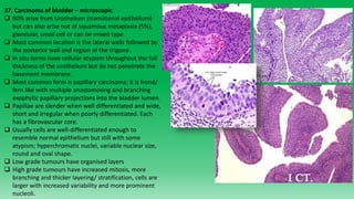 PMU third/fourth year Clinical pathoanatomy Part 2 | PPT