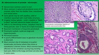 PMU third/fourth year Clinical pathoanatomy Part 2 | PPT