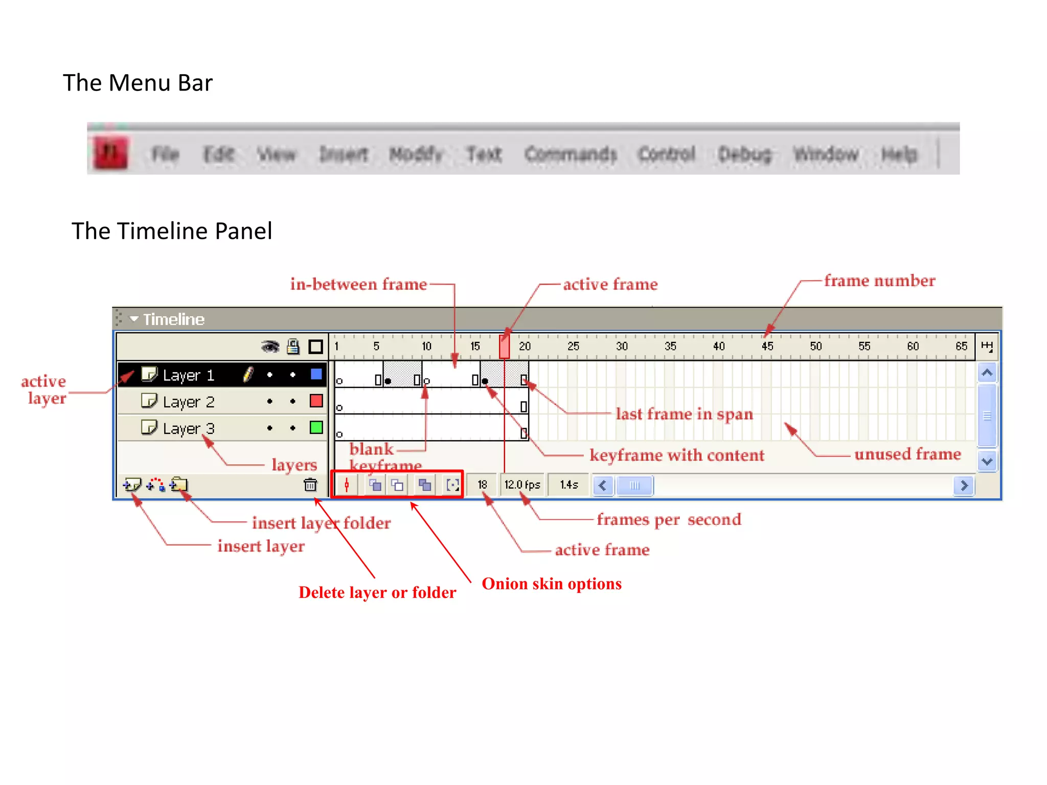 Third year CSBN presentation 2nd quarter - flash gui | PPT