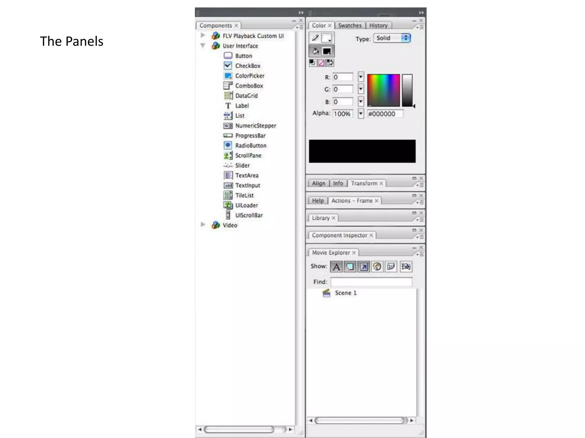 Third year CSBN presentation 2nd quarter - flash gui | PPT