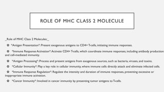 Major Histocompatibility - Complex -Immune system | PPTX